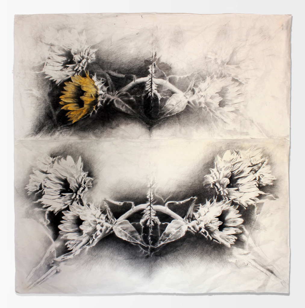 Girasoles | marta blasco